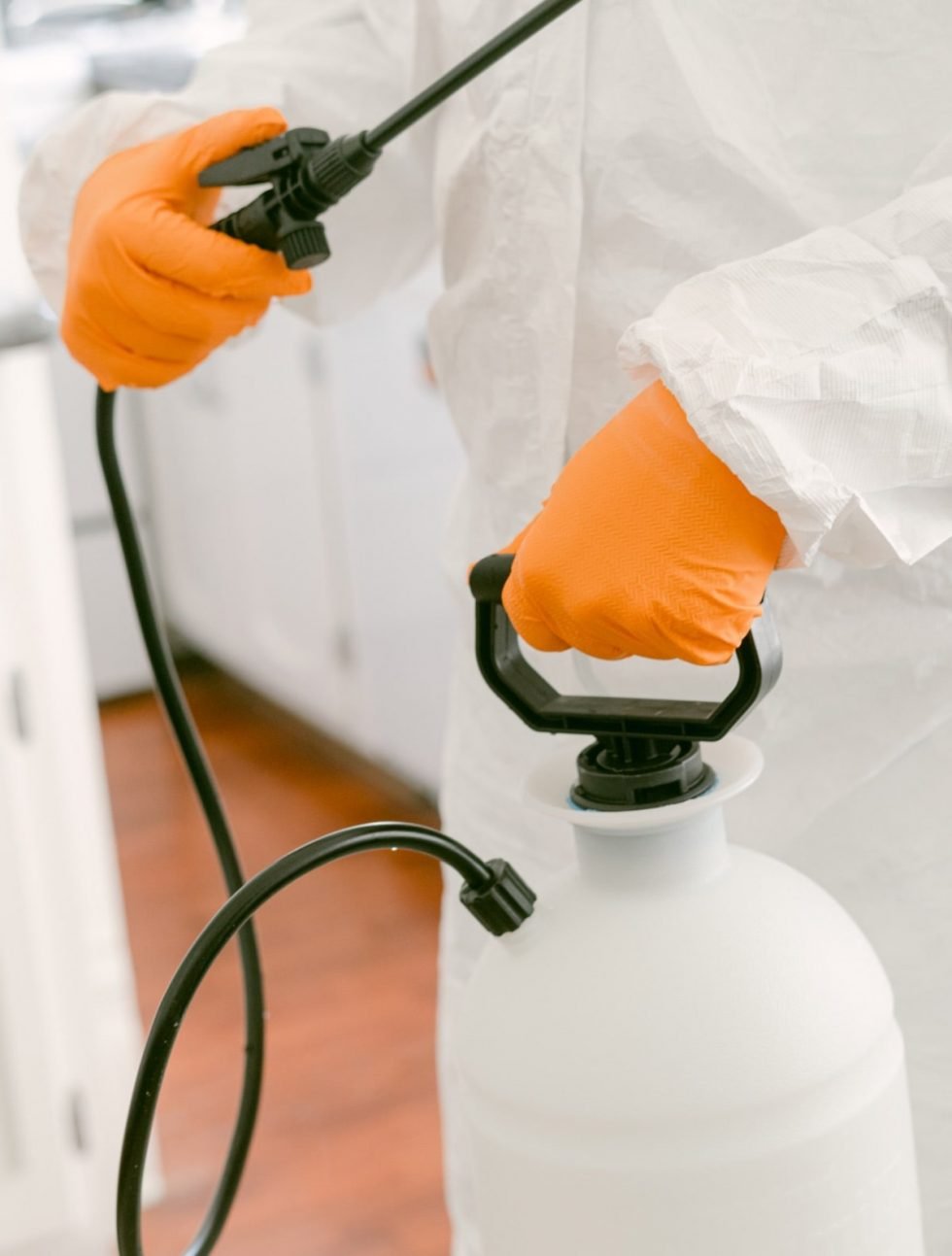 Smart Pest Control Sydney | The Best Solution